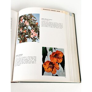 Vintage (1958) ‘garden Plants in Color’ Book, Nature Book - Etsy