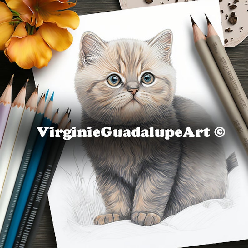 Cat Coloring Pages Pretty Meow Printable Coloring Sheets for - Etsy