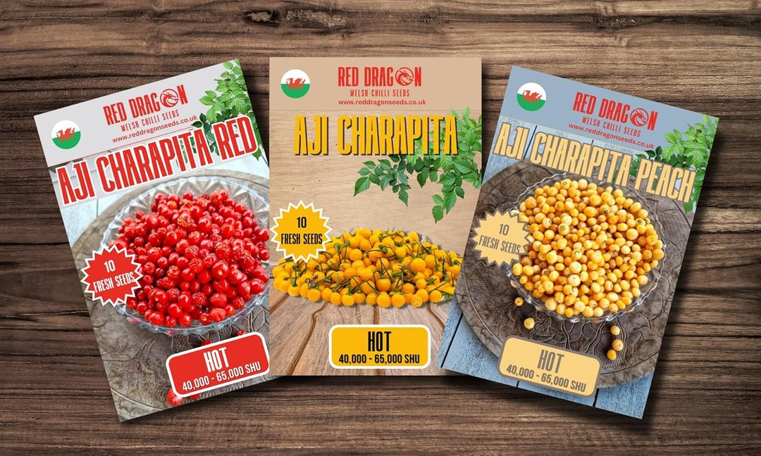 Triple paquet de graines d'Aji Charapita – Rouge, jaune et pêche – 30 ...