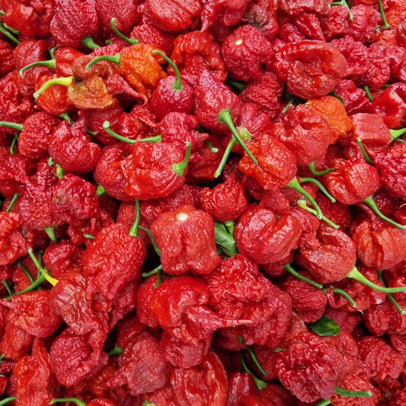 Carolina fresh reaper peppers - Etsy.de