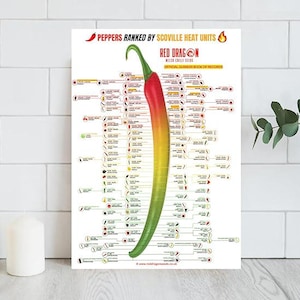 Red Dragon Seeds Scoville Chilli Chart - A2 Laminated With Over 120 ...