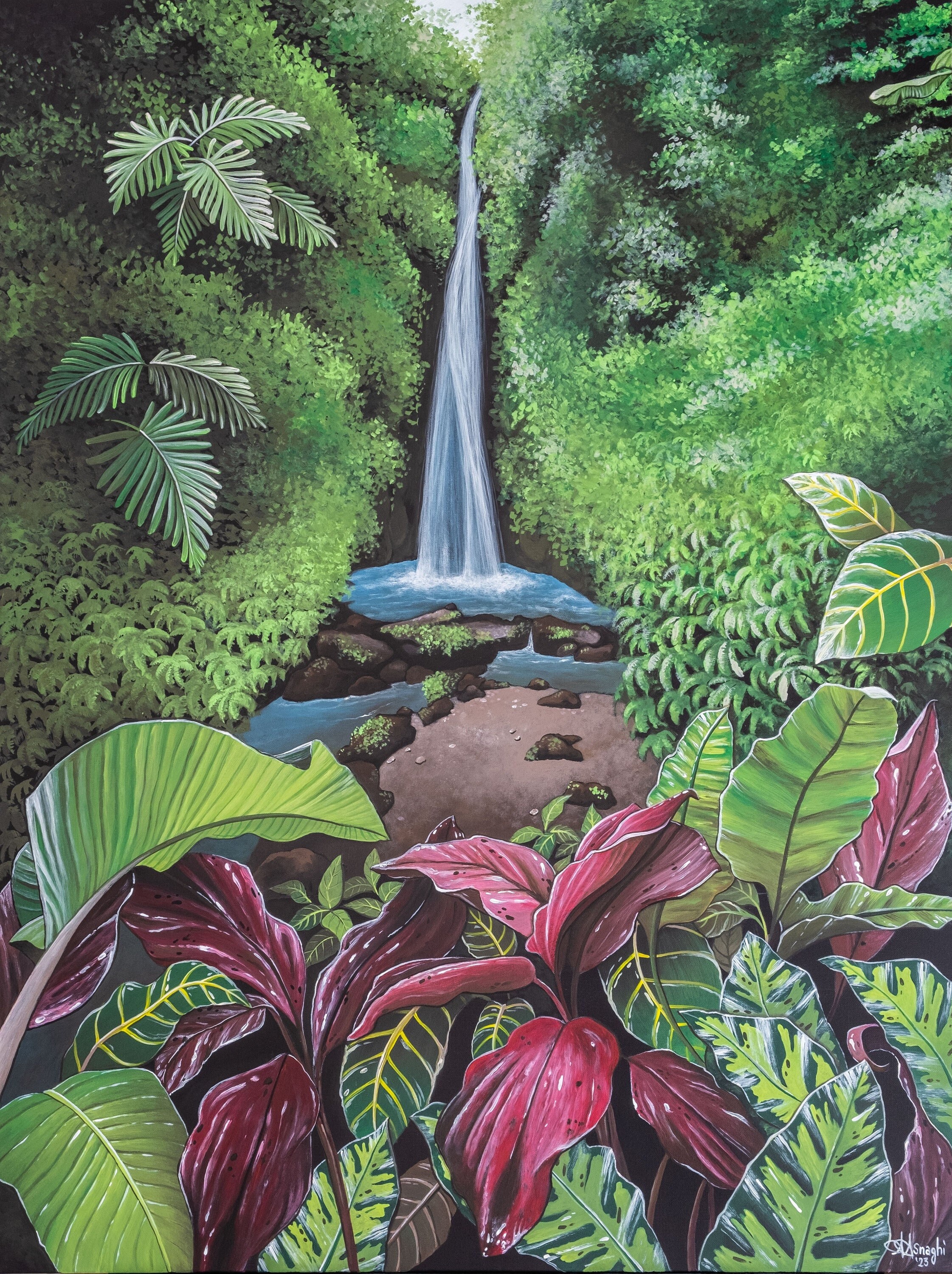 Tropical Rainforest Waterfall Drawing