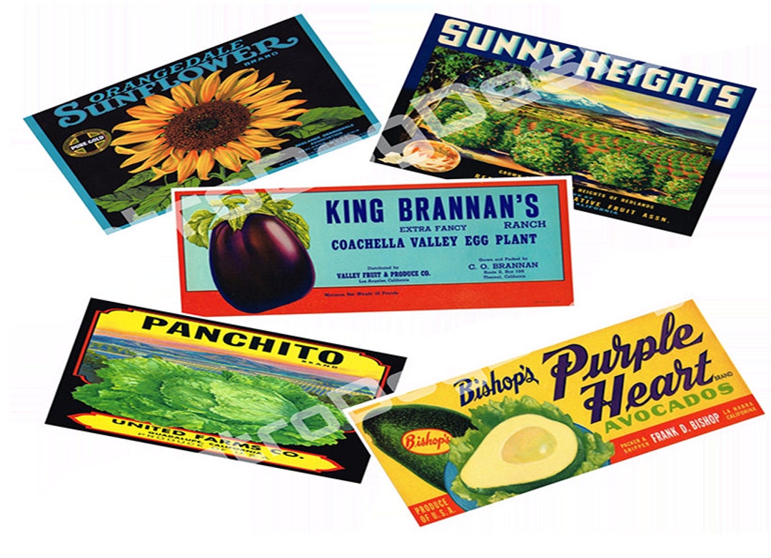 Retro Fruit Crate Labels, Vintage Food Labels, Instant Downloads - Etsy