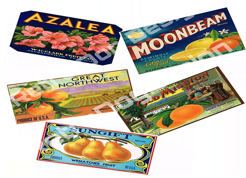 Vintage Fruit Crate Labels, Kitchen Decor, Instant Jpg Download ...