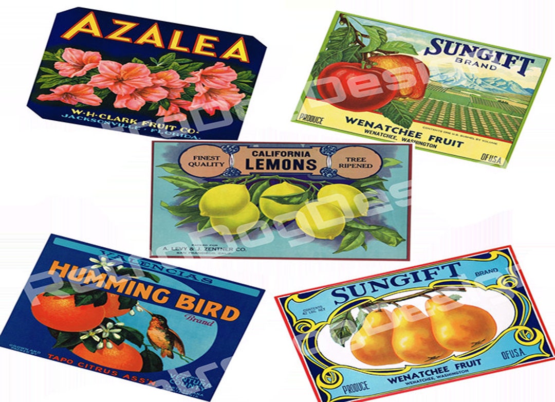 Retro Fruit Crate Labels, Wooden Crate Labels, Printable Instant ...