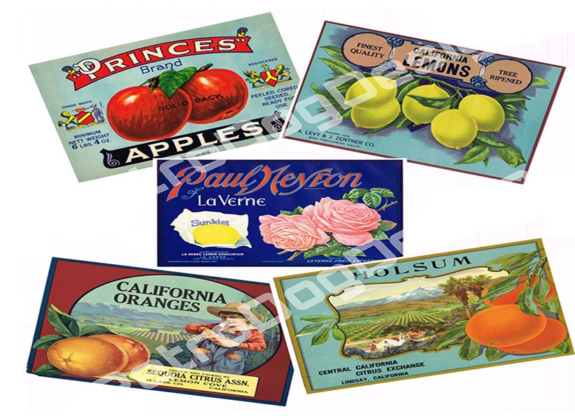 Wooden Fruit Crate Labels, Retro Food Labels, Vintage Kitchen Decor ...