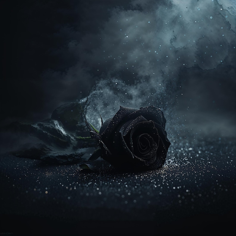 Black Rose Wall Art Printable, Dark Romantic Gothic Decor, Moody Floral ...