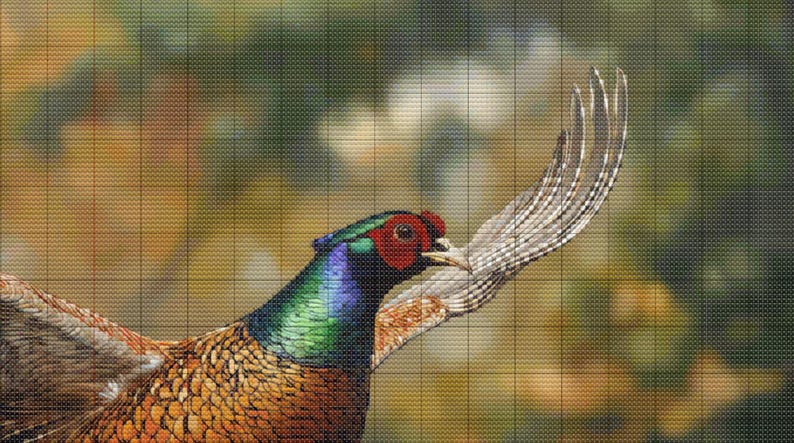 Pheasant Cross Stitch Pattern. Instant PDF Download. 60k Stitches. - Etsy