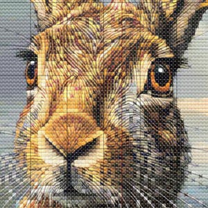Hare in the Heather Cross Stitch Pattern. Instant PDF Download. 62,500 ...