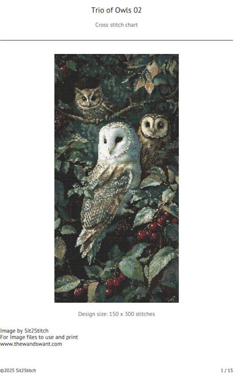 Trio of Owls Cross Stitch Pattern. Instant PDF Download. 45,000 Stitches. - Etsy