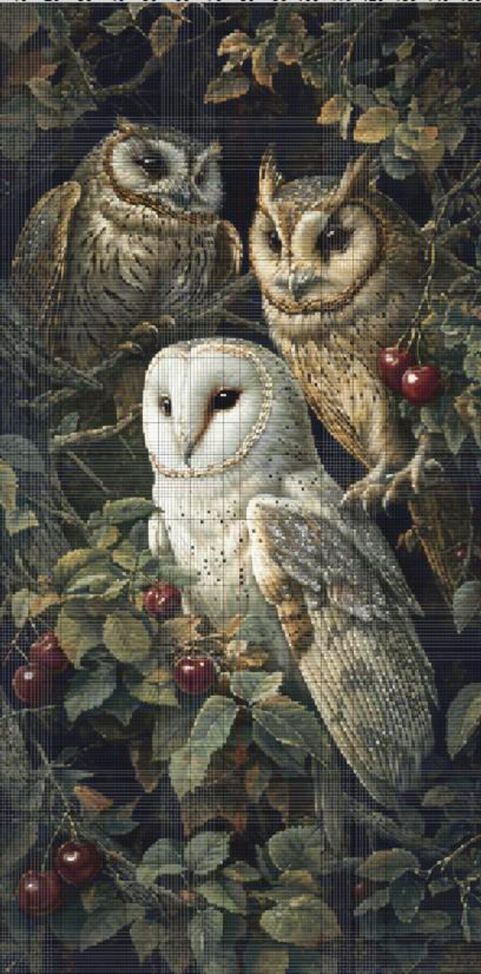 Trio of Owls Cross Stitch Pattern: Barn Owl & Horned Owl (PDF Download ...