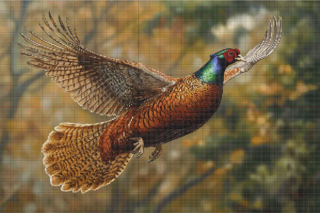 Pheasant Cross Stitch Pattern. Instant PDF Download. 60k Stitches. - Etsy