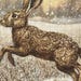 Snow Hare Cross Stitch Pattern. Instant PDF Download. 50,625 Stitches ...