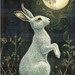 Moon Gazing Hare 01 Cross Stitch Pattern. Digital PDF Download. 45,000 ...