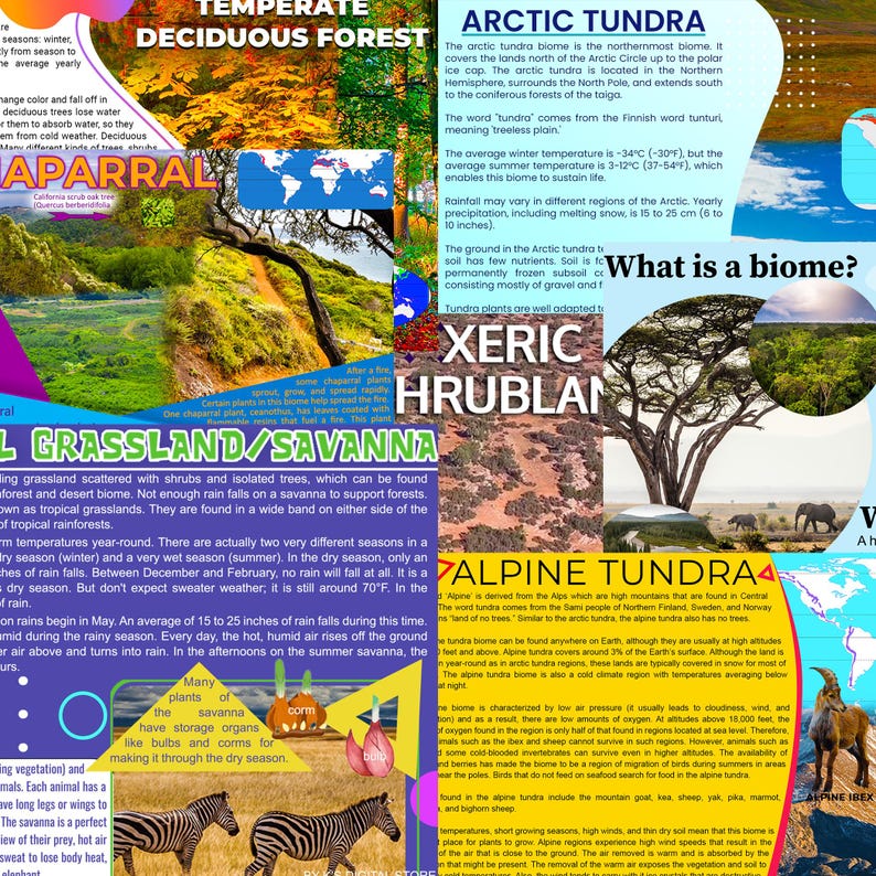 Biomes of the World 360 VR Digital Escape Room/breakout - Etsy