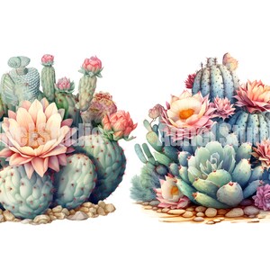 Watercolor Pastel Cactus Clipart - Cactus Digital Clipart Bundle ...