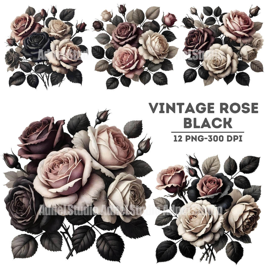 Vintage Black Rose Clipart Bundle, Dark Floral Aesthetic, Antique ...