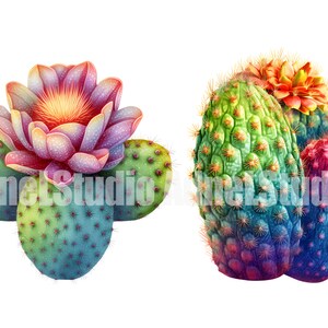 Watercolor Pastel Cactus Clipart - Watercolor Desert Cactus Clipart ...