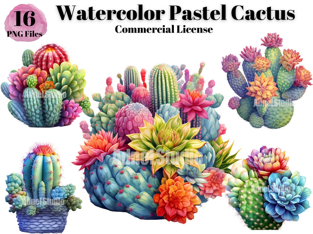 Watercolor Pastel Cactus Clipart Watercolor Desert Cactus - Etsy