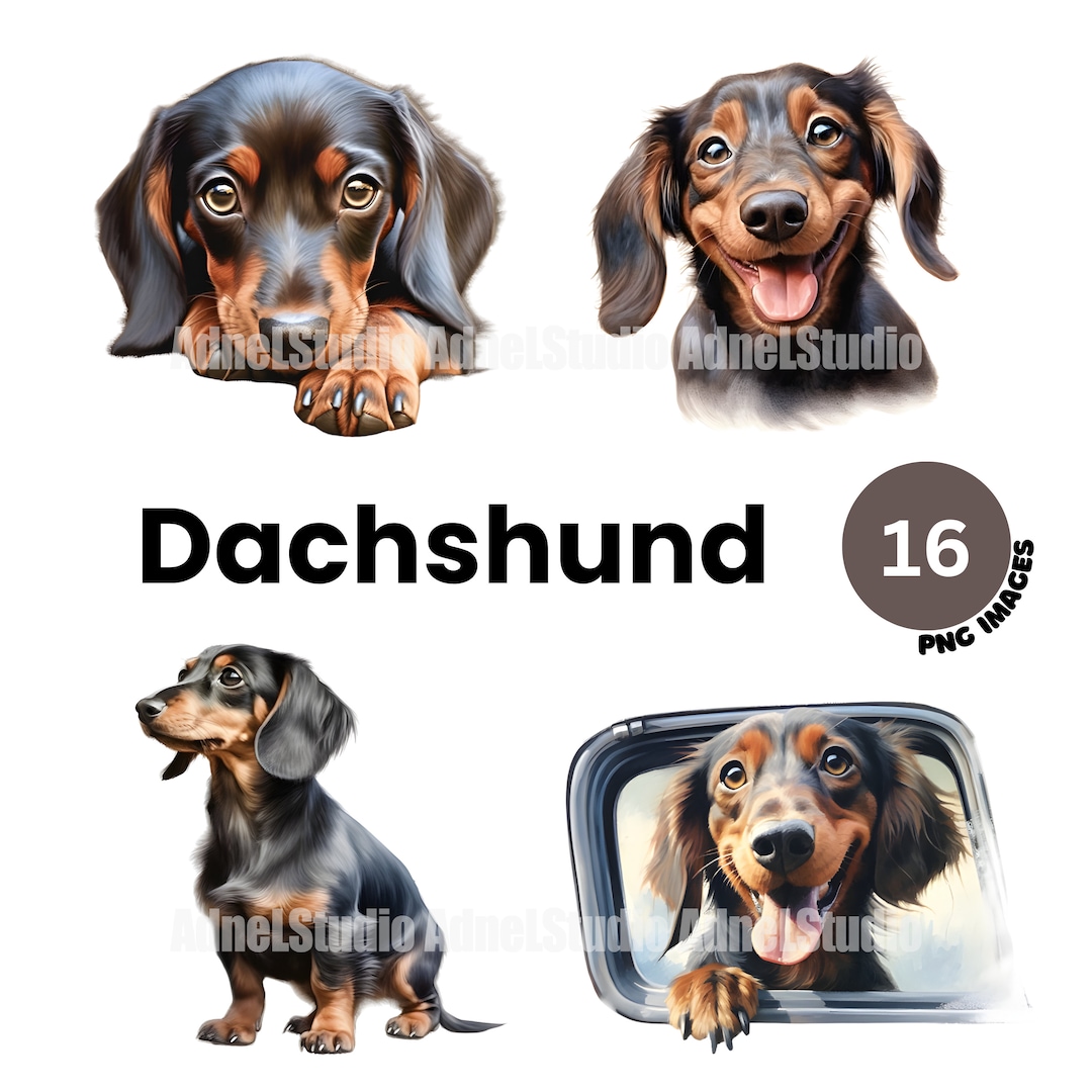 Dachshund Clipart - Watercolor Dachshund PNG, Cute Dog Clipart, Puppy ...