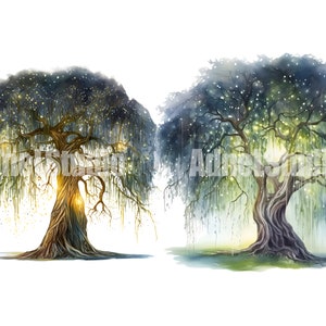 Watercolor Fairy Light Willow Tree Clipart - Willow Tree Landscape ...