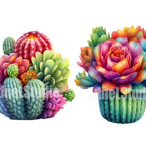 Watercolor Pastel Cactus Clipart - Watercolor Desert Cactus Clipart ...