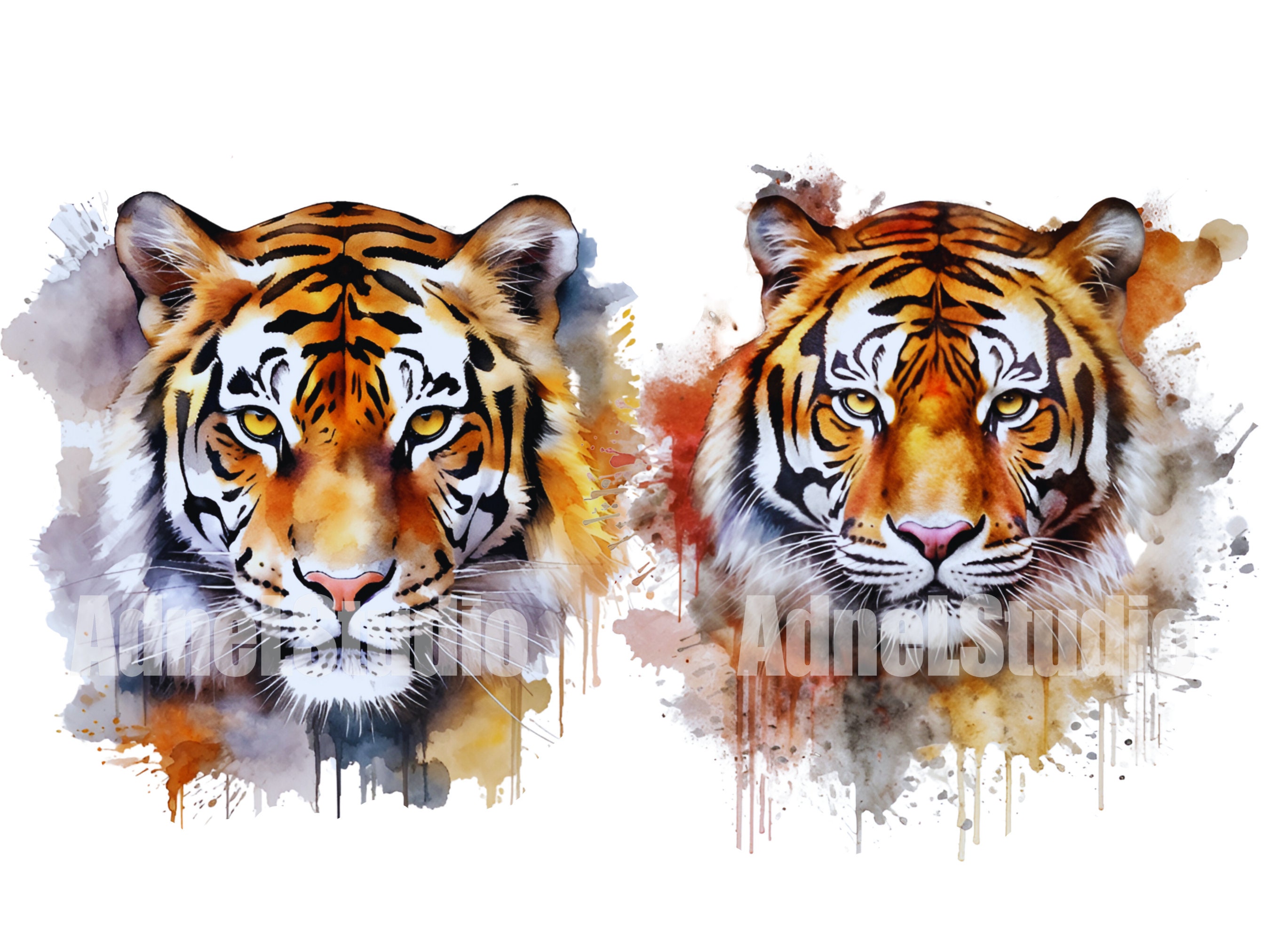 Watercolor Tiger Clipart Png, Watercolor Tiger Png, Watercolor Tiger ...