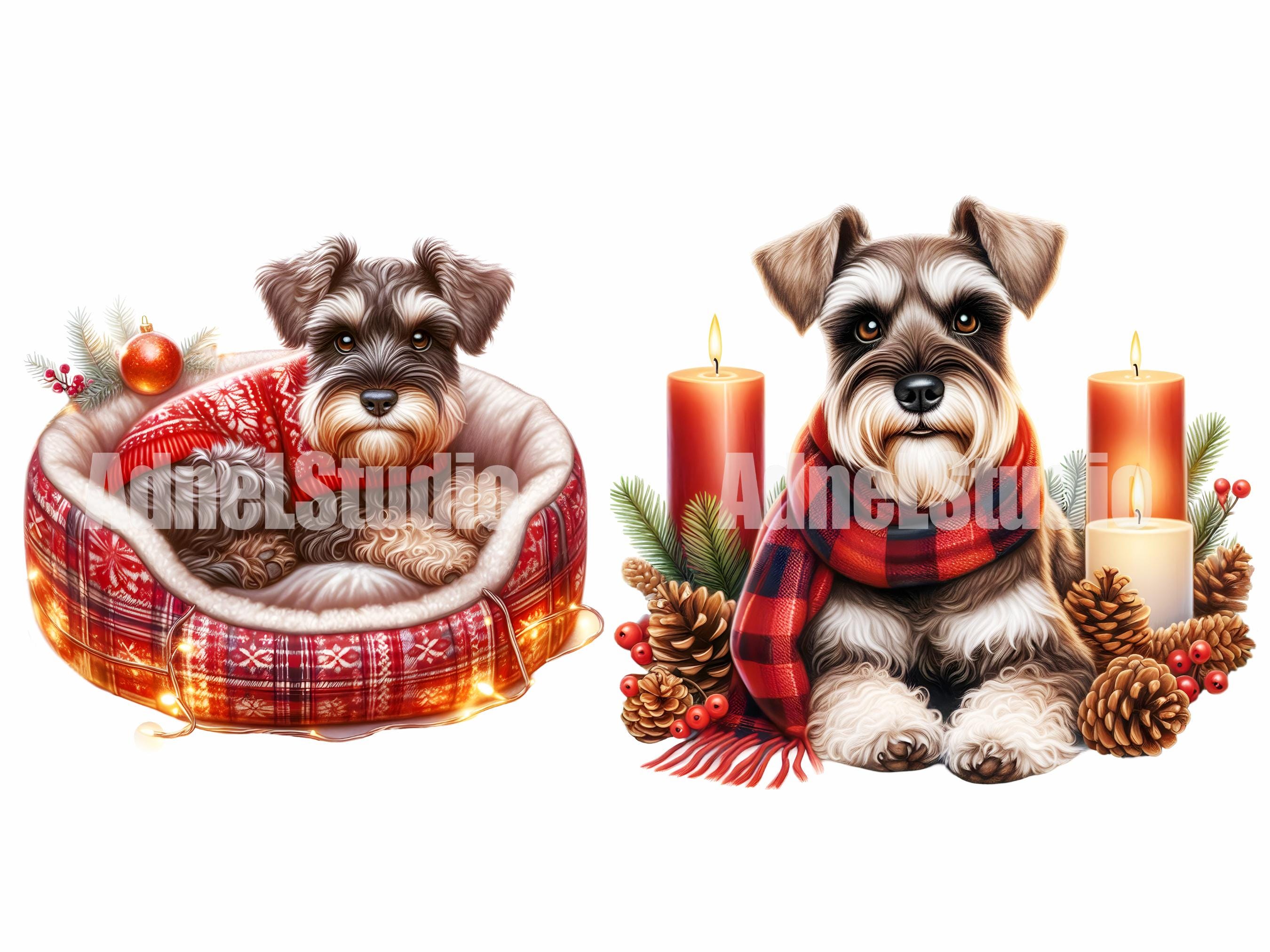 Christmas Miniature Schnauzer Clipart, Festive Miniature Schnauzer ...