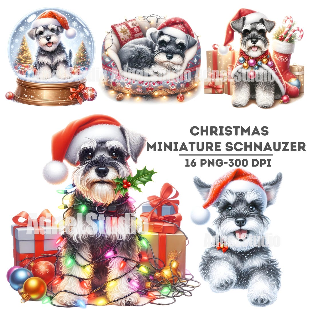 Christmas Miniature Schnauzer Clipart Set, Festive Dog Illustrations ...