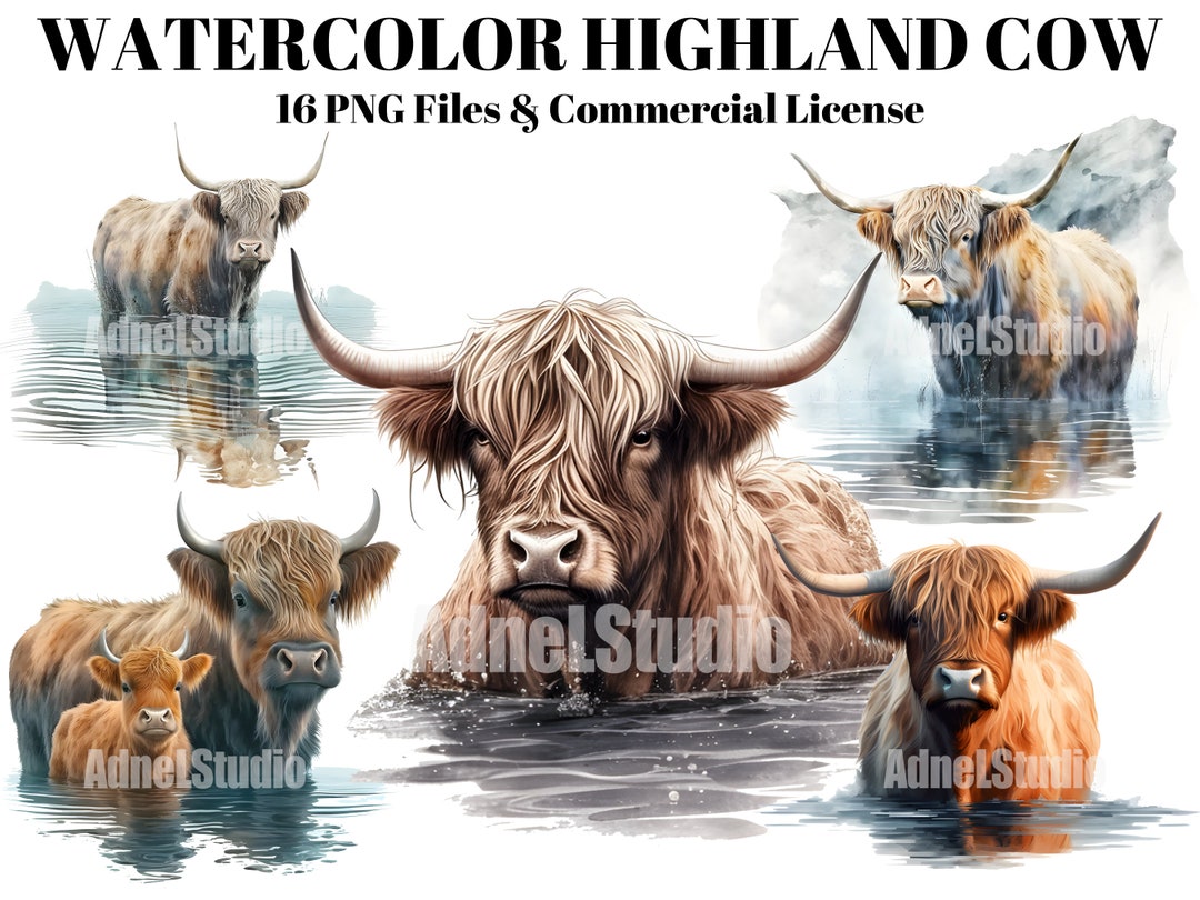 Watercolor Highland Cow Clipart Watercolor Highland Cow Png - Etsy