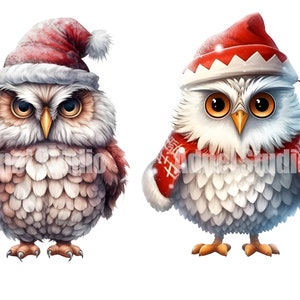 Christmas Owl Clipart - Christmas Clipart, Watercolor Christmas Owl PNG ...