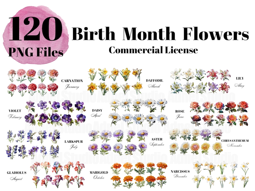 Birth Month Flowers Clipart - Watercolor Botanical Birth Flower Clapart ...