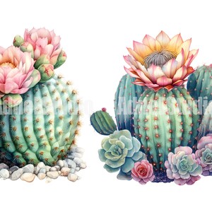 Watercolor Pastel Cactus Clipart - Cactus Digital Clipart Bundle ...