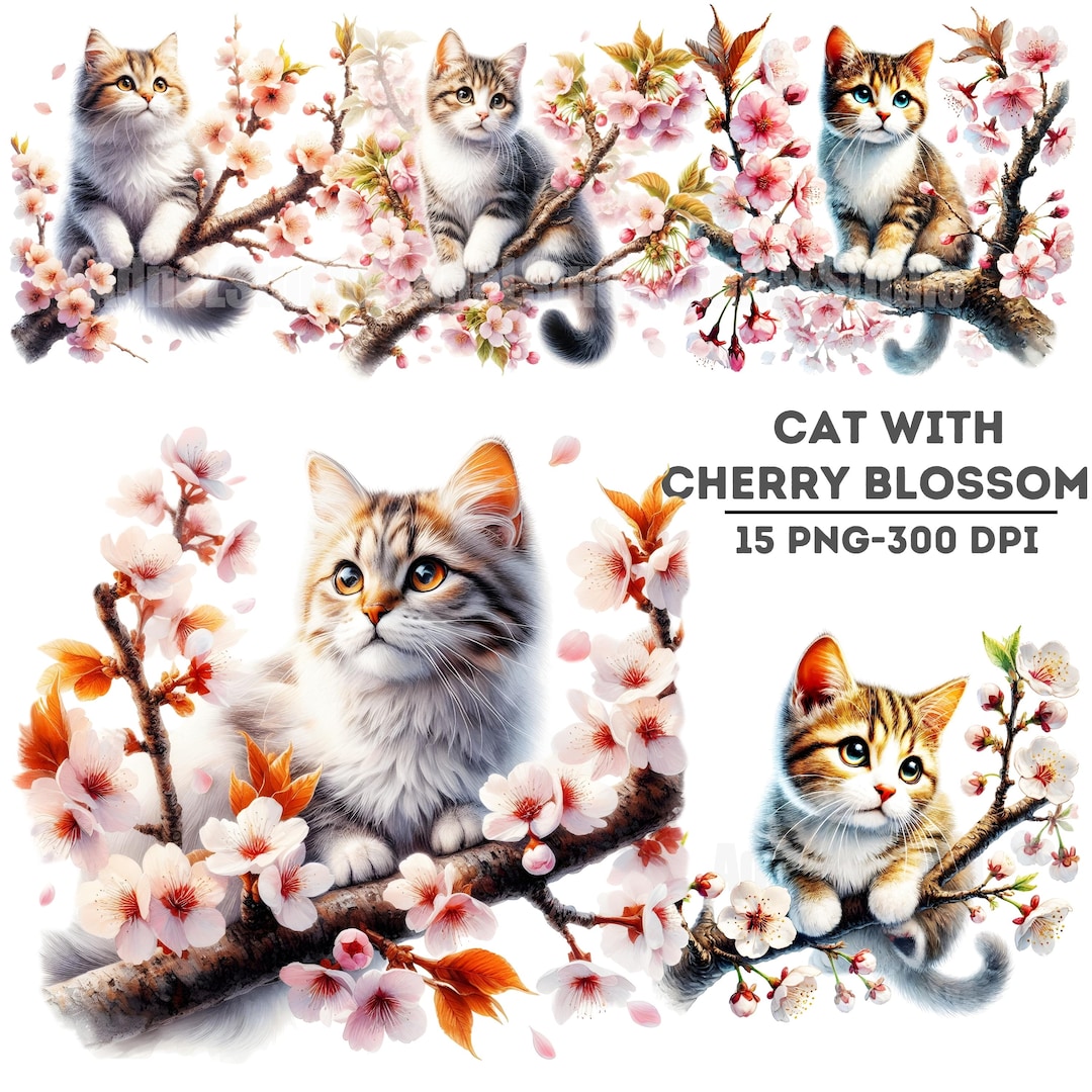 Watercolor Cat With Cherry Blossom Clipart, Floral PNG Graphics, Cute ...