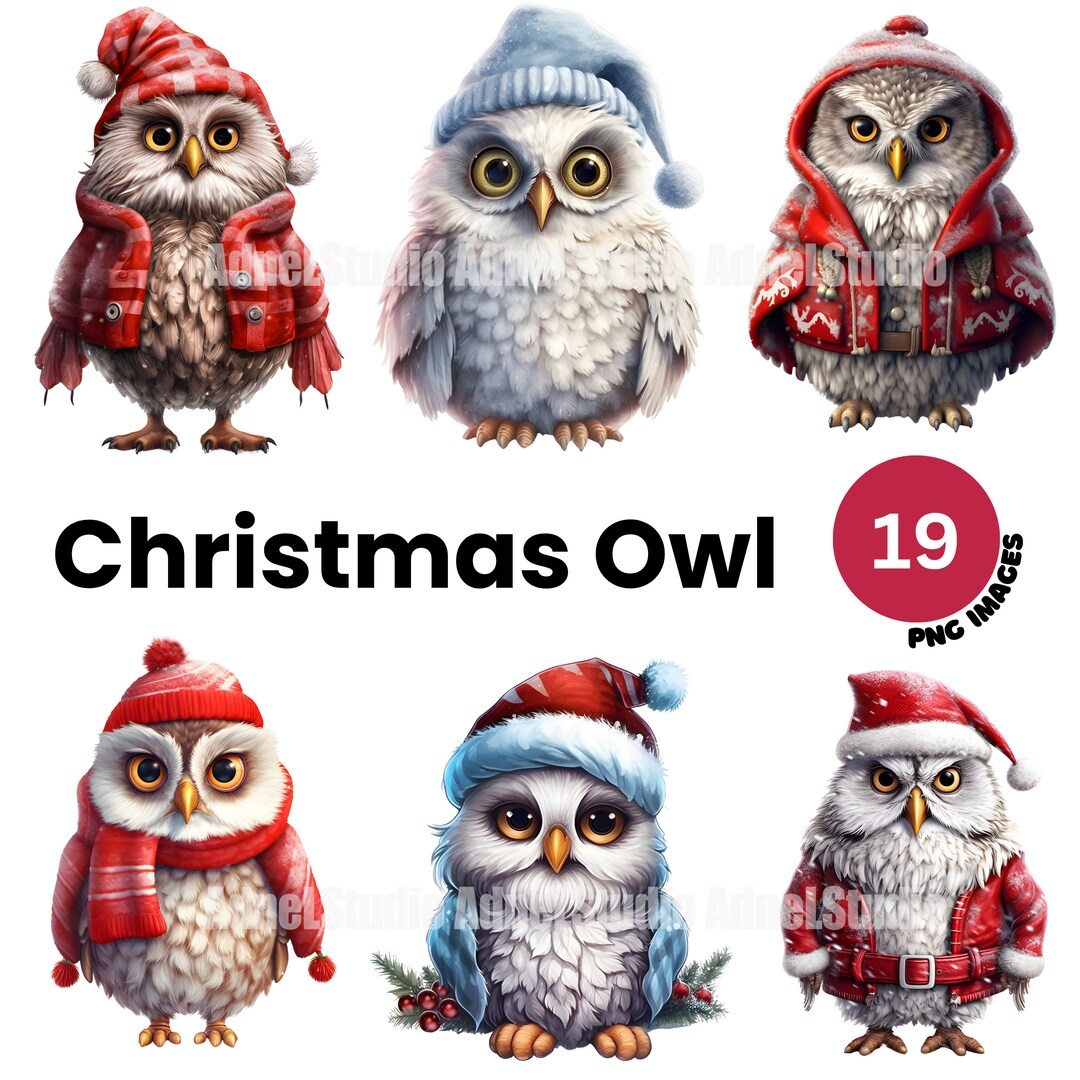 Christmas Owl Clipart - Christmas Clipart, Watercolor Christmas Owl PNG ...