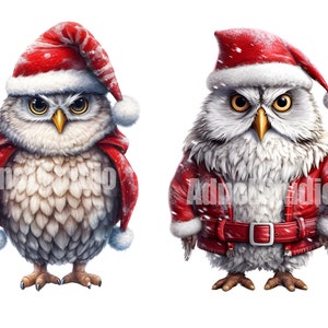Christmas Owl Clipart - Christmas Clipart, Watercolor Christmas Owl PNG ...