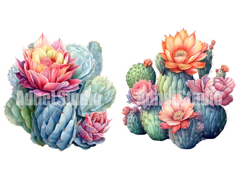 Watercolor Pastel Cactus Clipart Cactus Digital Clipart - Etsy