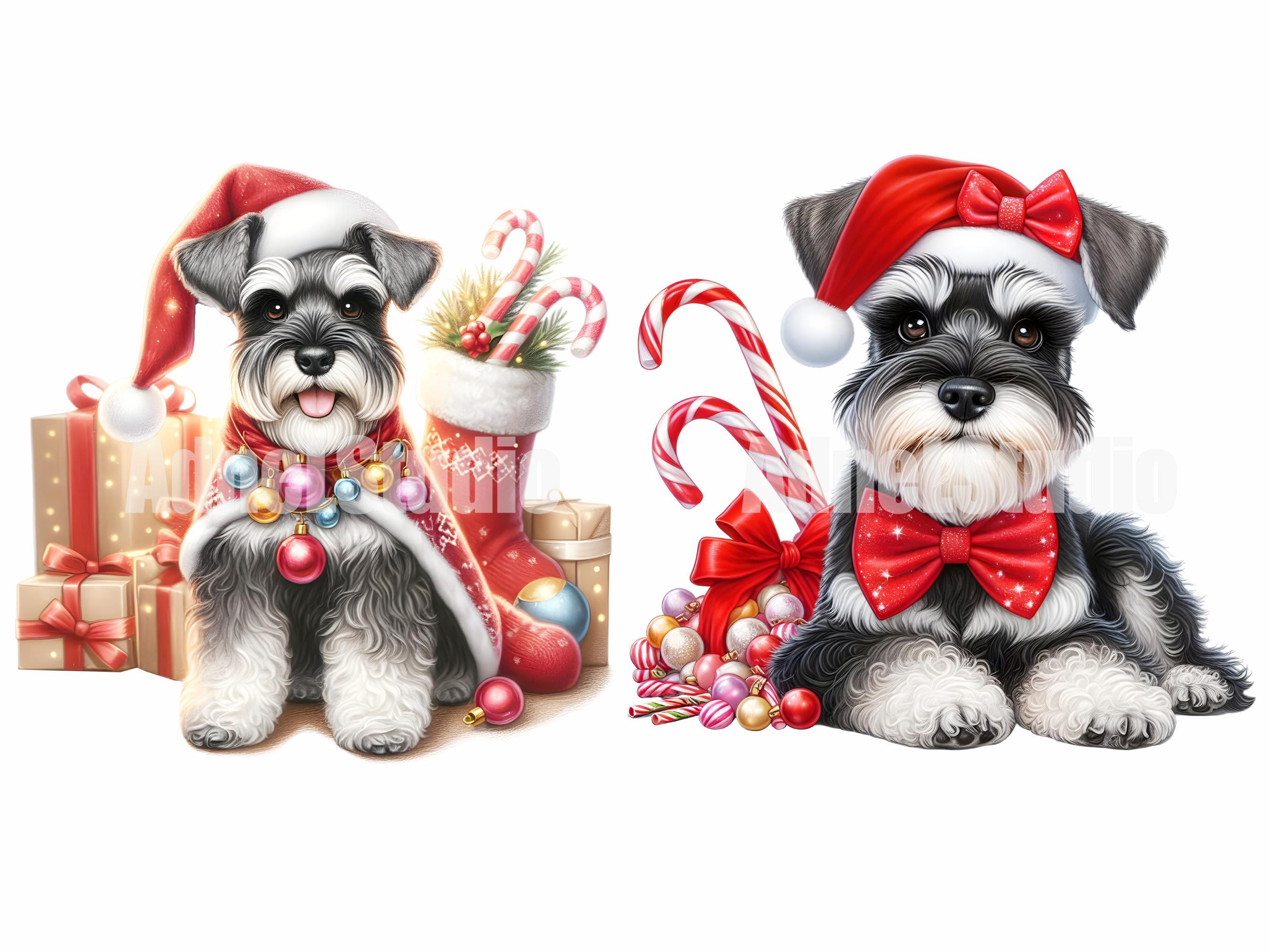 Christmas Miniature Schnauzer Clipart Set, Festive Dog Illustrations ...