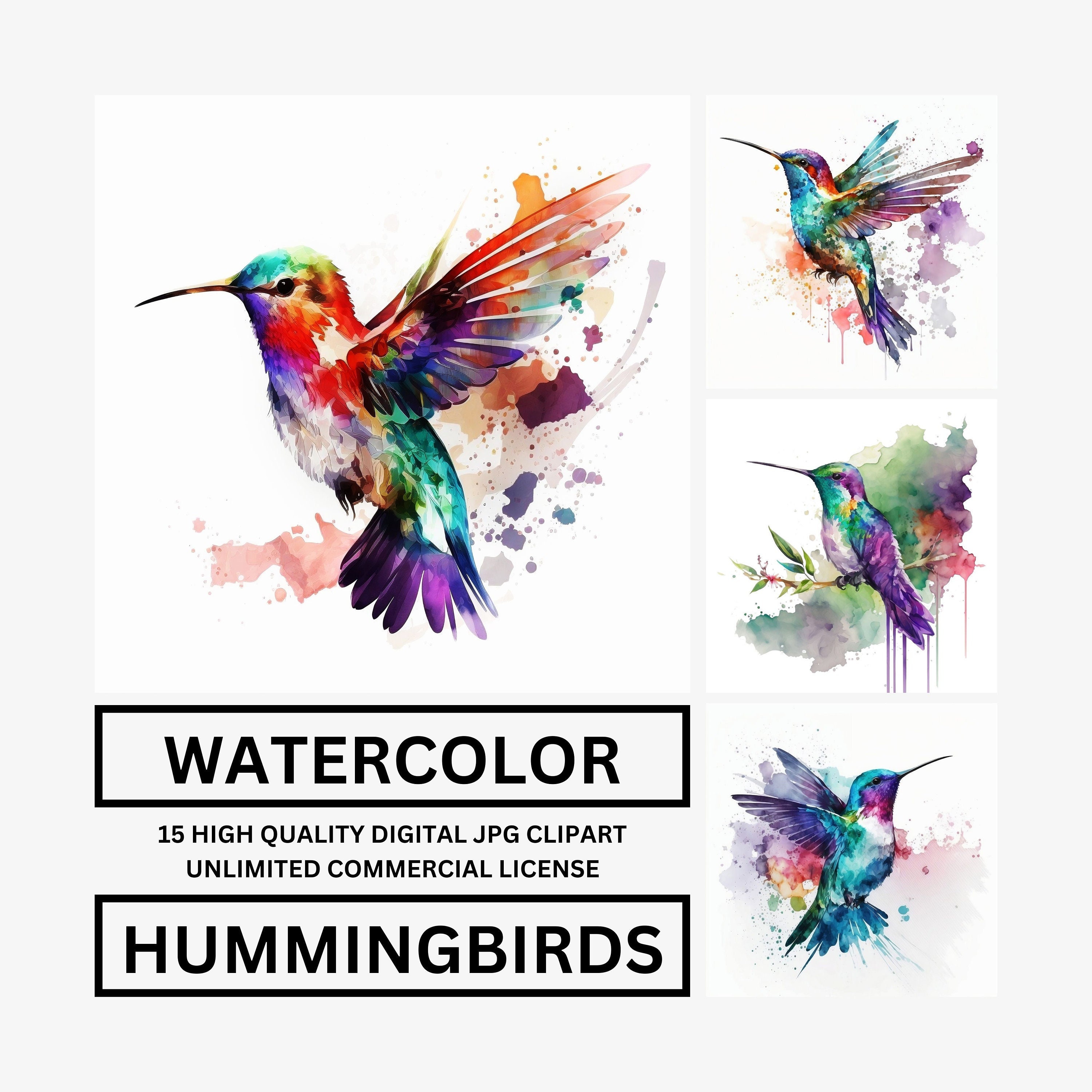 Watercolor Hummingbird Clipart 15 JPG Files Digital Collage - Etsy