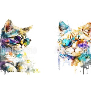 Watercolor Cat Clipart- Watercolor Cool Cat Sunglasses Clipart, Digital ...
