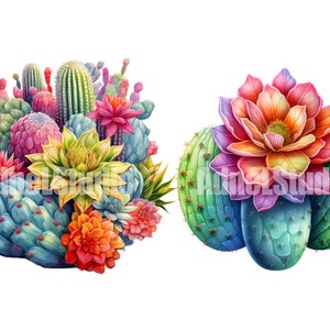 Watercolor Pastel Cactus Clipart - Watercolor Desert Cactus Clipart ...