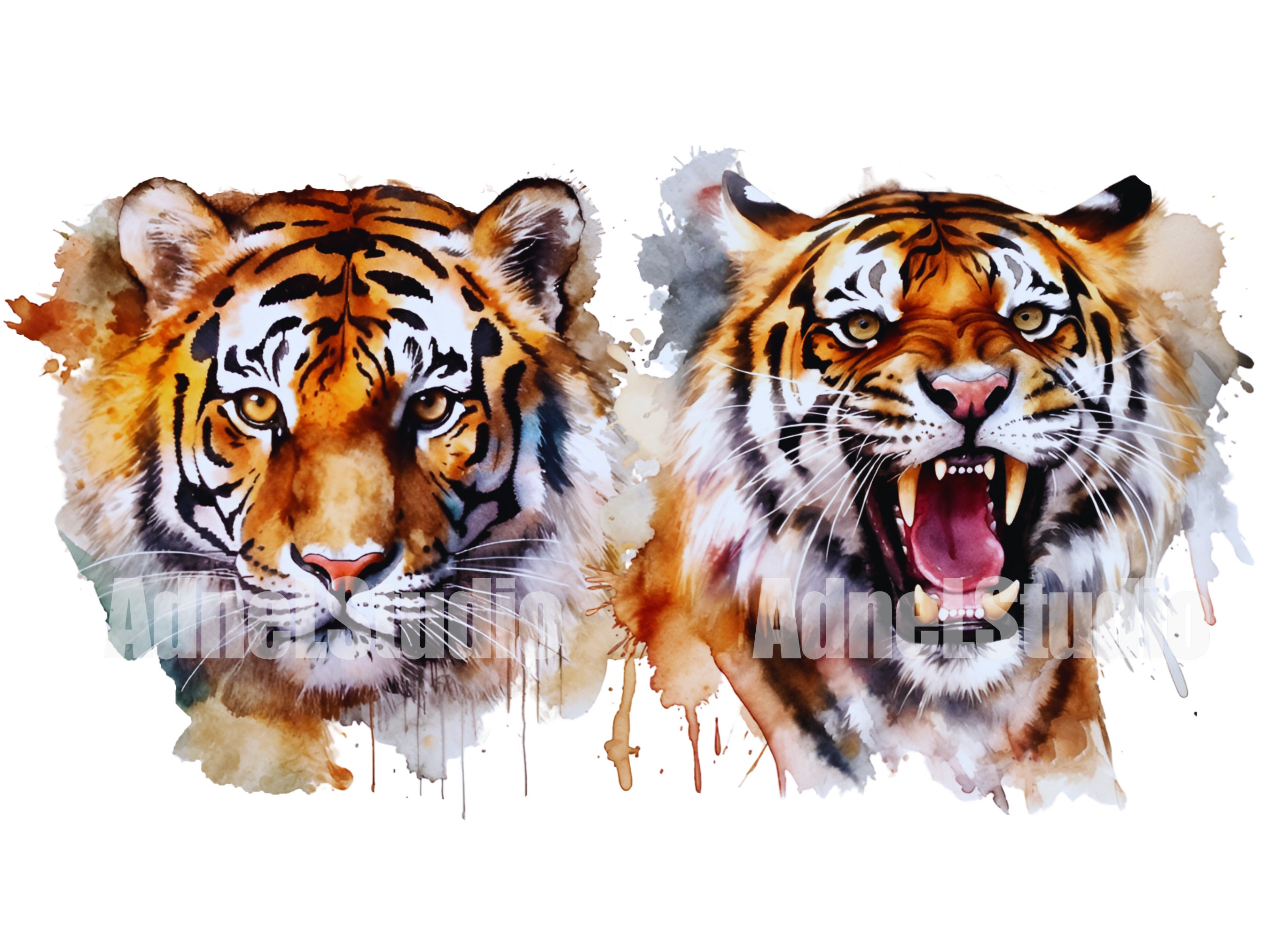 Watercolor Tiger Clipart Png, Watercolor Tiger Png, Watercolor Tiger ...