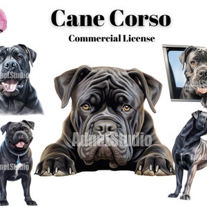 Cane Corso Clipart Watercolor Cane Corso Png Cute Dog - Etsy