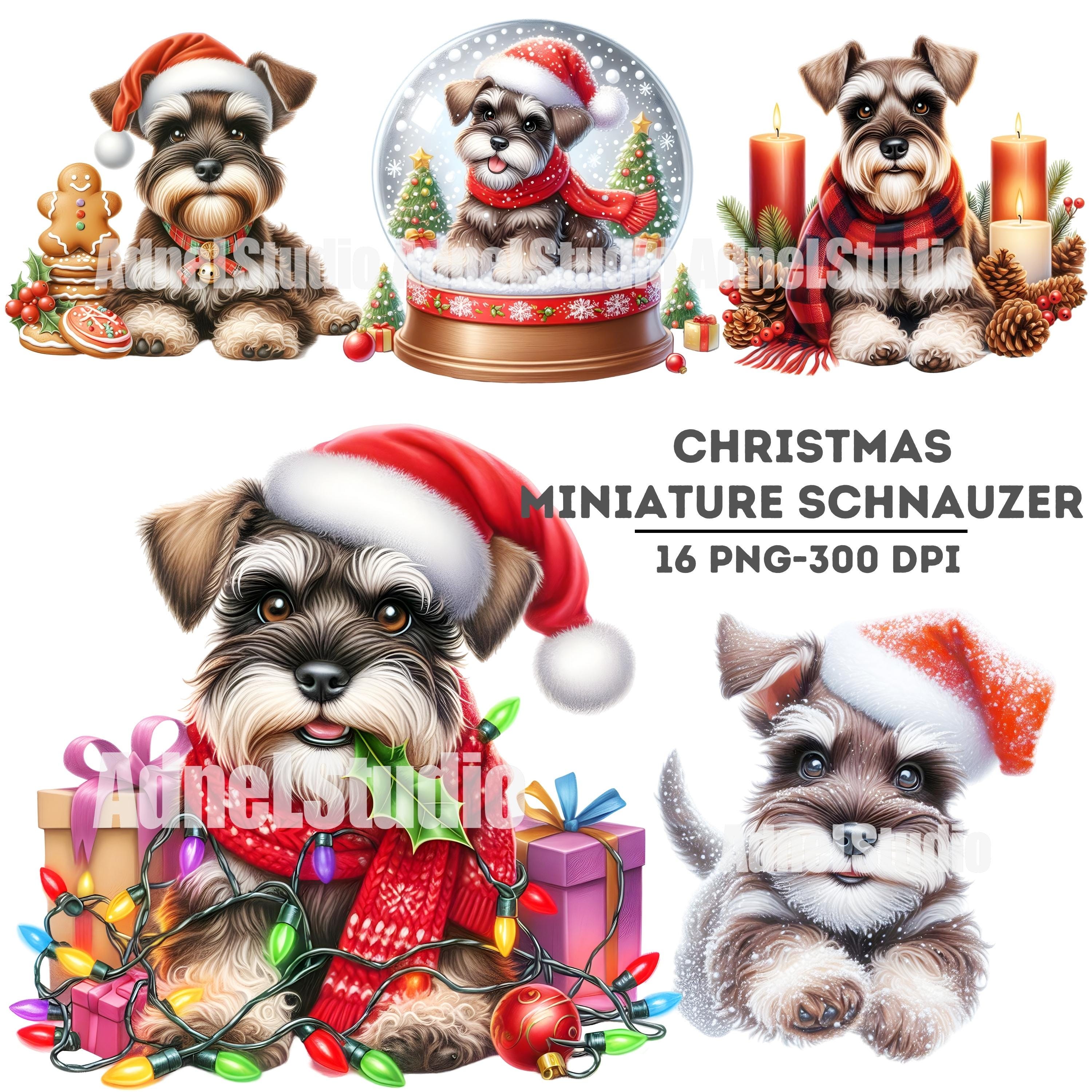 Christmas Miniature Schnauzer Clipart, Festive Miniature Schnauzer ...