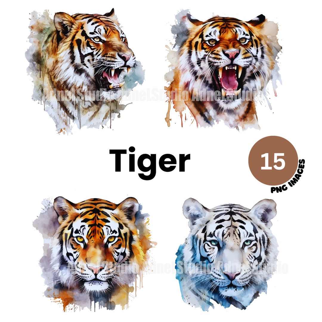 Watercolor Tiger Clipart Png, Watercolor Tiger Png, Watercolor Tiger ...