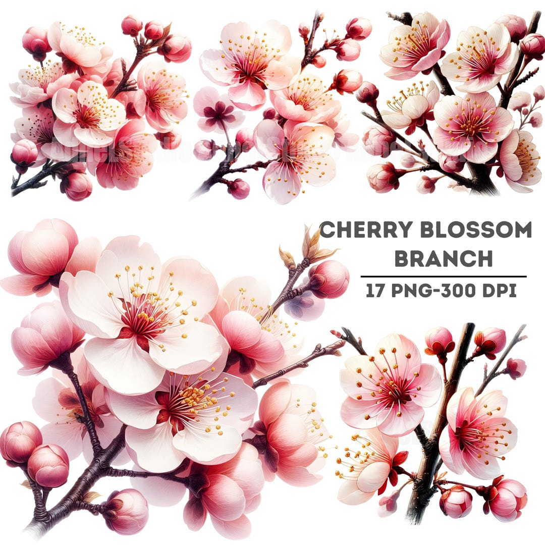 Watercolor Cherry Blossom PNG Clipart, Watercolor Flower Branch Set ...