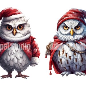 Christmas Owl Clipart - Christmas Clipart, Watercolor Christmas Owl PNG ...