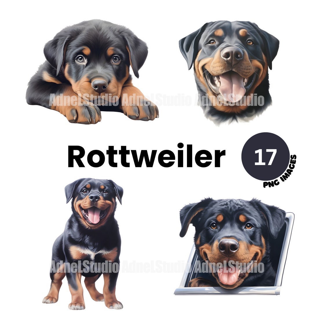 Rottweiler Clipart - Watercolor Rottweiler PNG, Cute Dog Clipart, Puppy ...