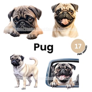 Pug Clipart - Watercolor Pug Puppy Clipart, Cute Dog Clipart, Puppies ...