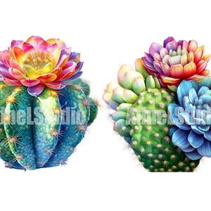 Watercolor Pastel Cactus Clipart - Watercolor Desert Cactus Clipart ...